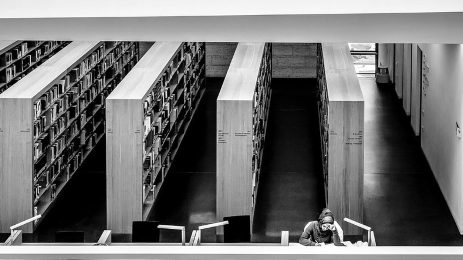 Introducing MAGA's War on the Truth — and Libraries - Fair Observer